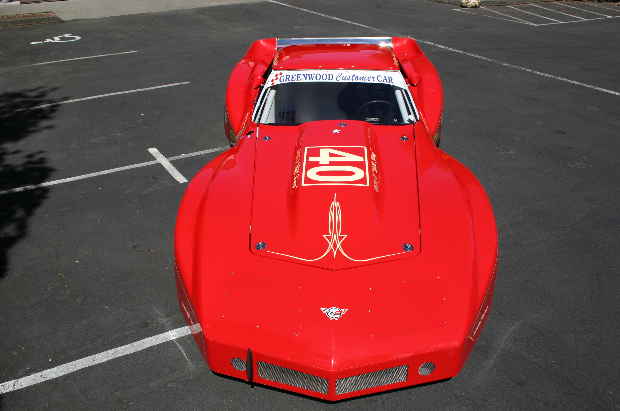 1977 Greenwood Corvette Race Car - Dobson Motorsport