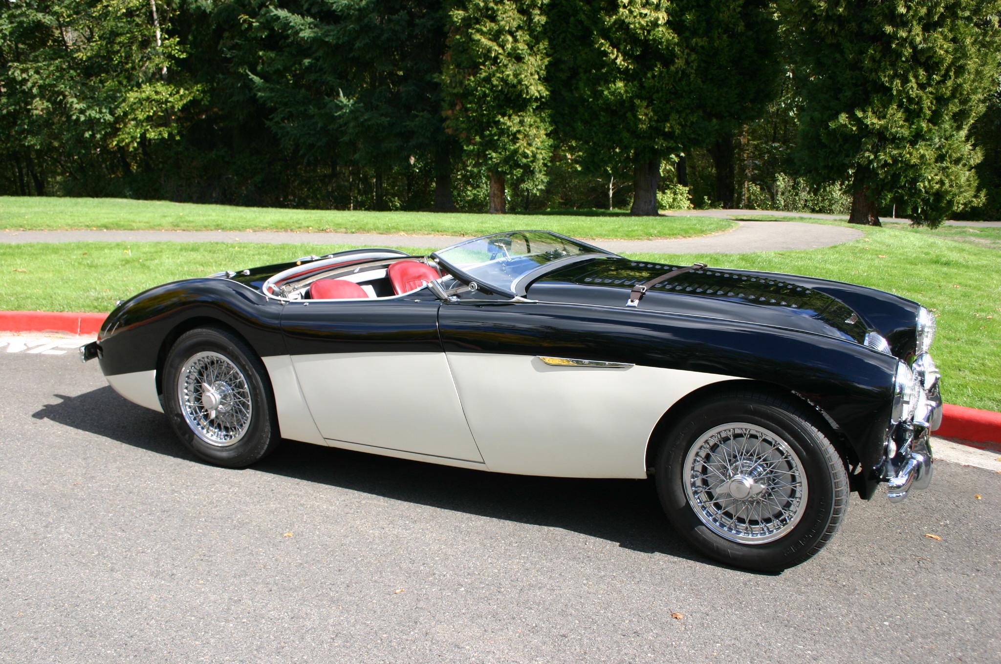 1955 Austin-Healey 100 M "LeMans" - Dobson Motorsport