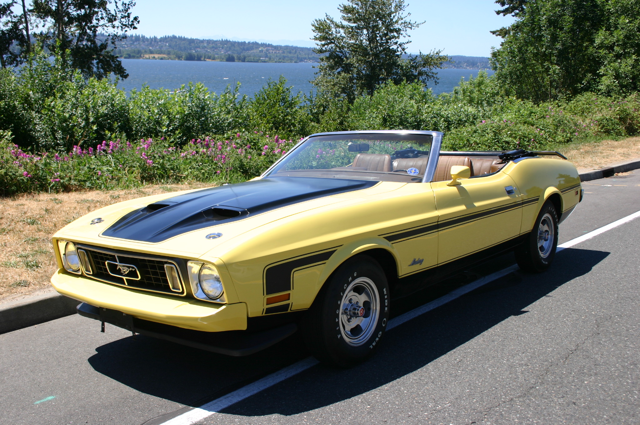 1973 Mustang Convertible 351 CID - Dobson Motorsport